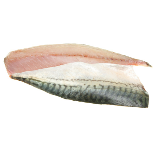 Mackerel Fillets | Paddy's Fish: Fresh fish from the Isle of Man